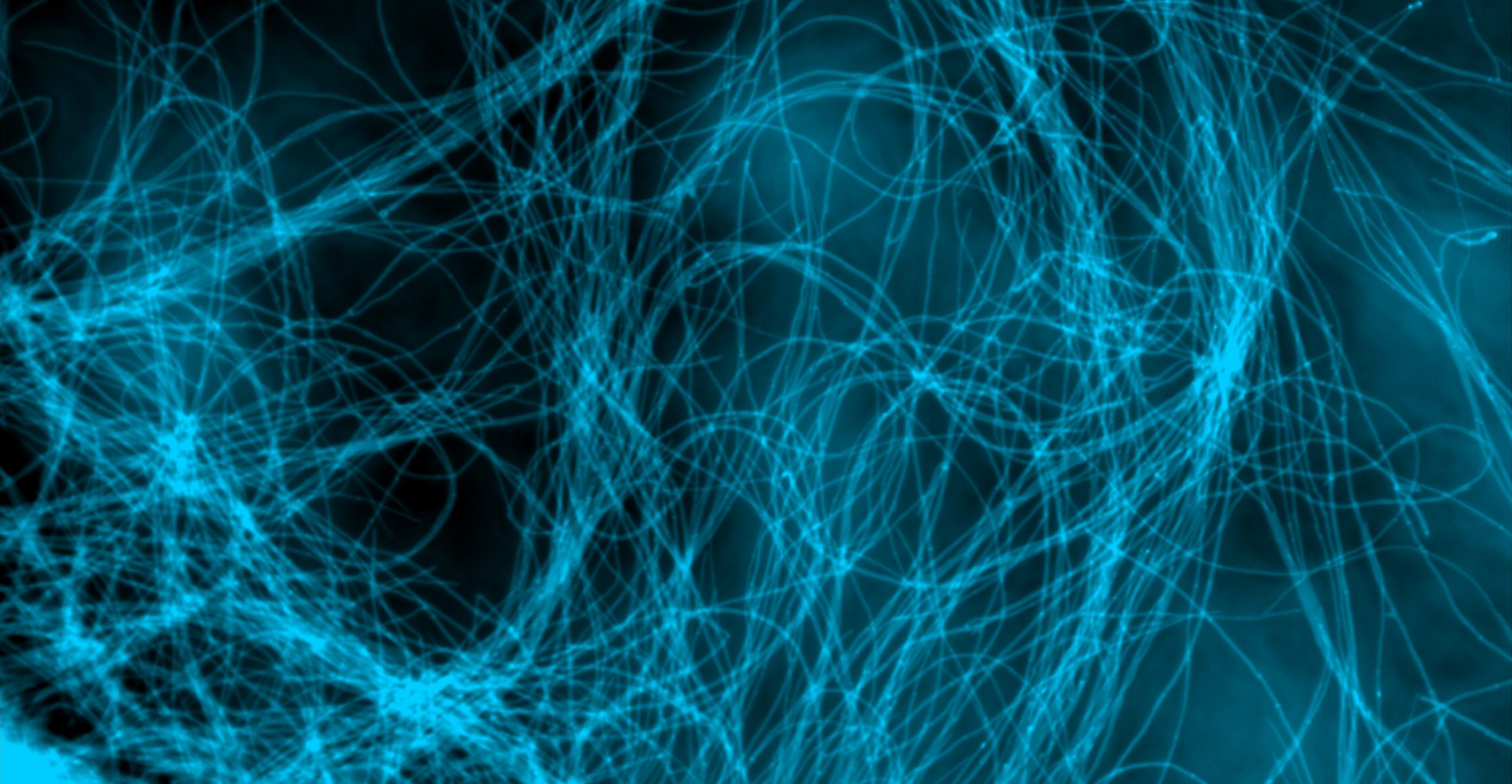 Translational medicine | Centre for Inflammation Research | Centre for ...